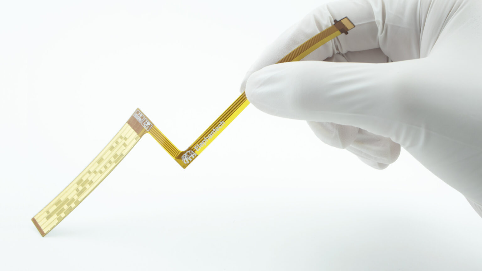 【インタビュー】キラーサンプルのご紹介 – エレファンテック